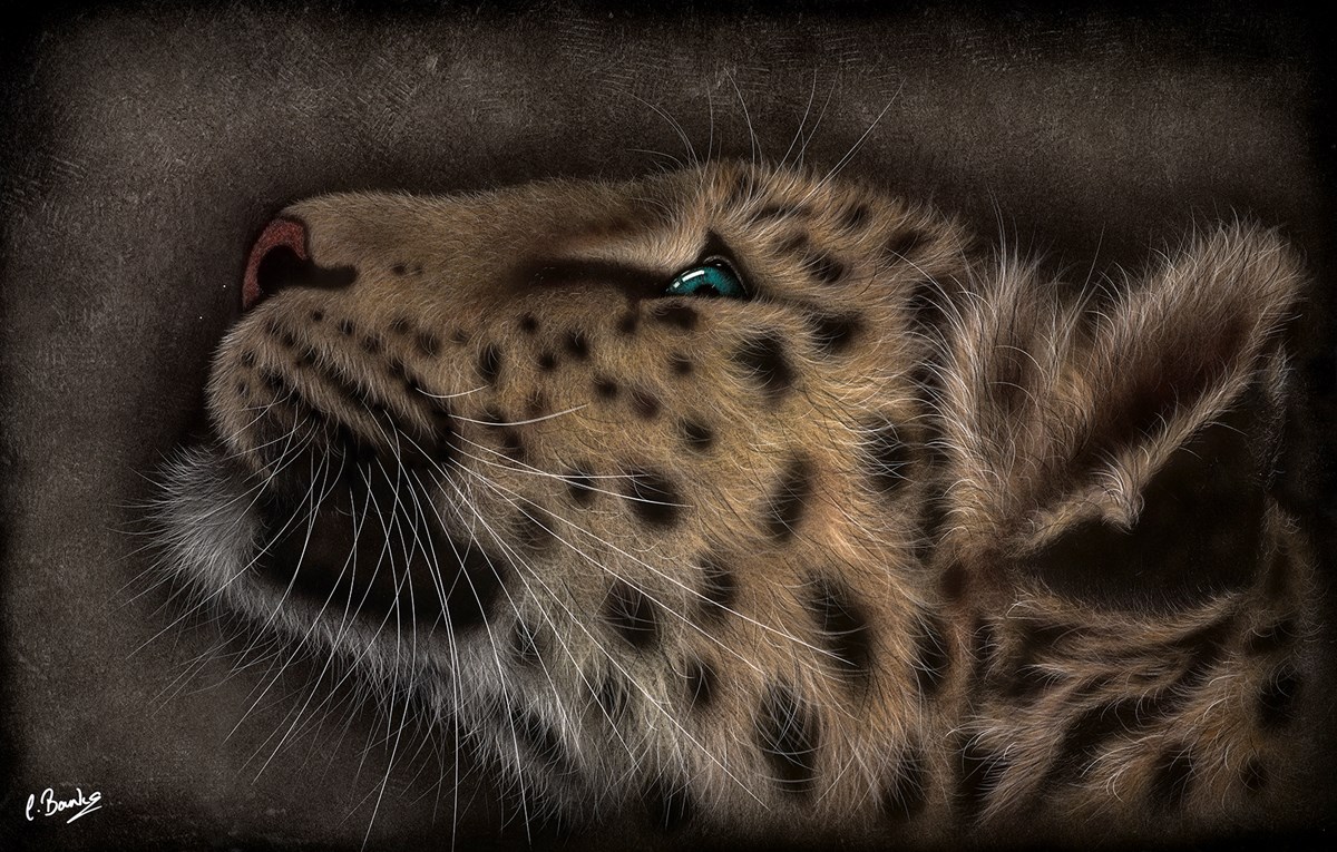 Colin Banks | DeMontfort Fine Art